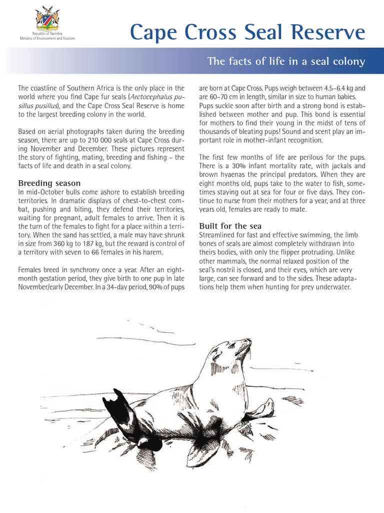 Cape Cross Seal Reserve Overview | PDF | Pinniped | Fur