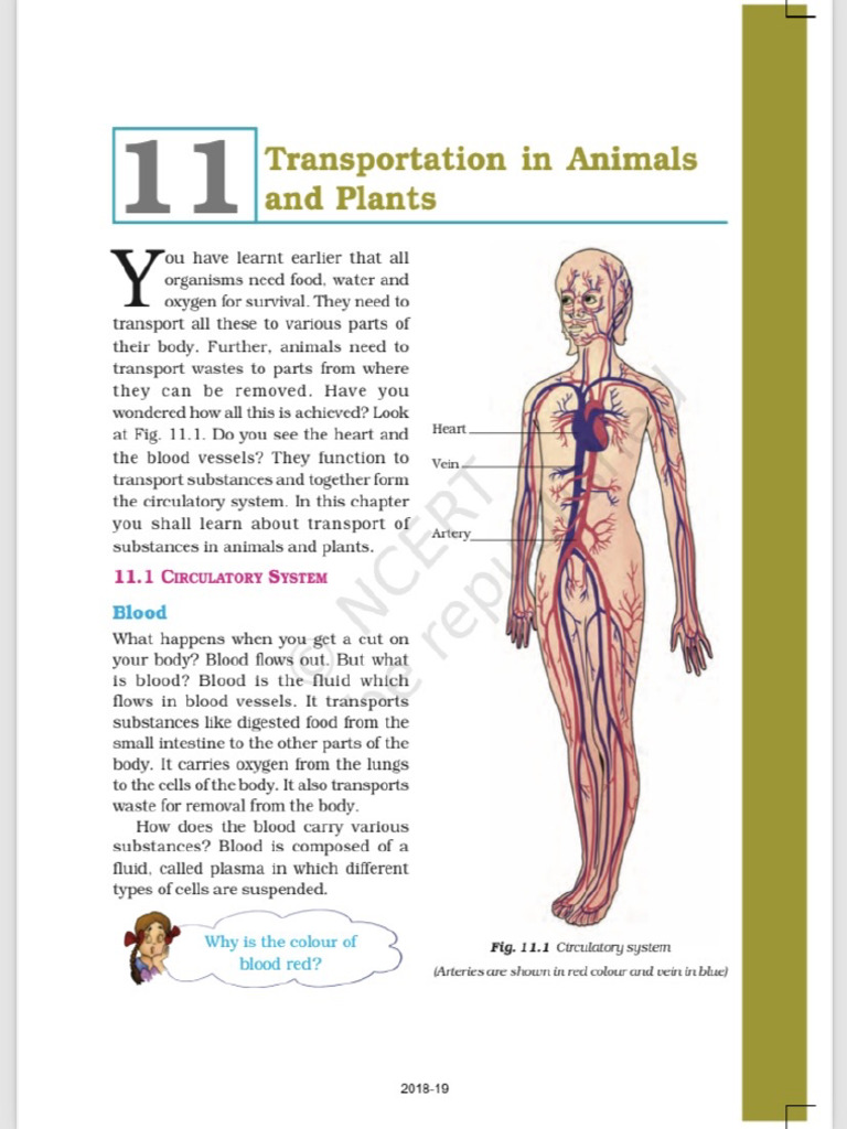 Class 7th NCERT book chapter 7,10,11 | PDF