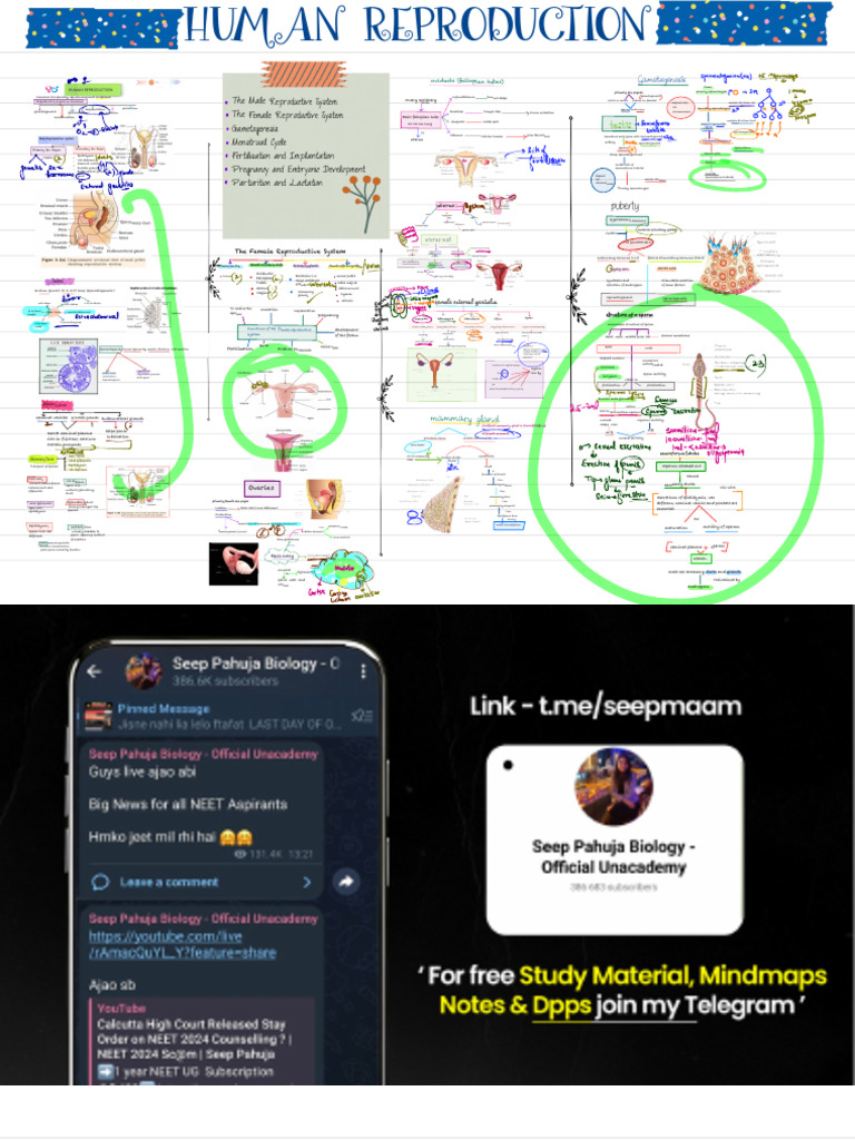 Class 12 boards part 1_250323_115544 | PDF | Testicle | Reproductive System