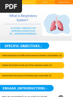 ZOXIL Antibiotic Patient Leaflet | PDF | Birth Control | Breastfeeding