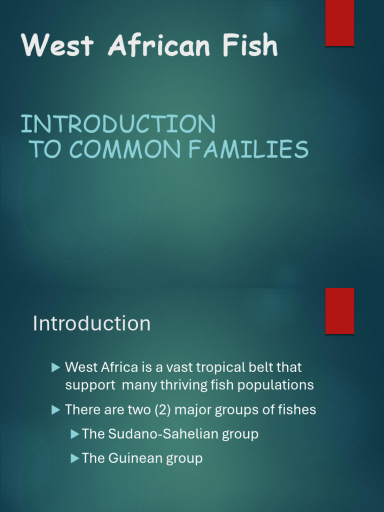 Intro. West African Fish Families | PDF | Fish | Fishkeeping