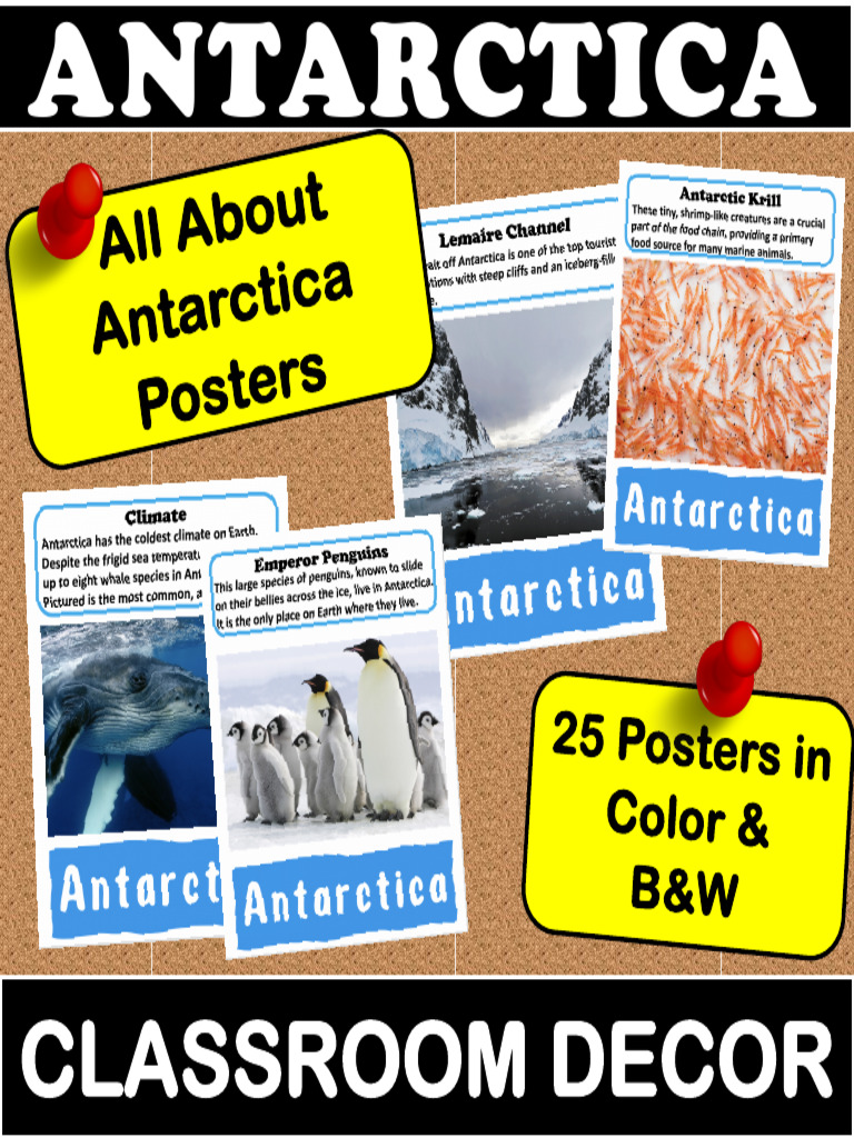 All Abo Ut Antarct Ica Posters: Classroom Decor | PDF