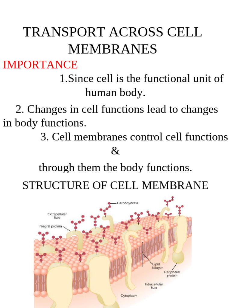 Cell Membrane Transport Mechanisms | PDF | Osmosis | Cell Membrane