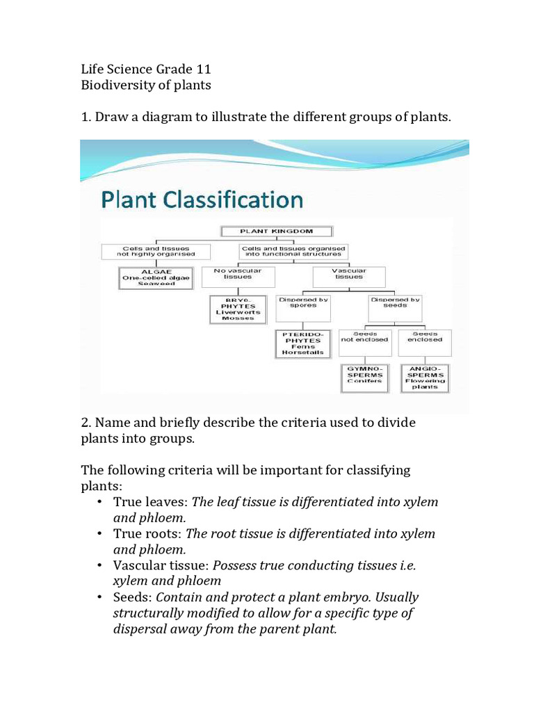 Notes Plants Classification | PDF