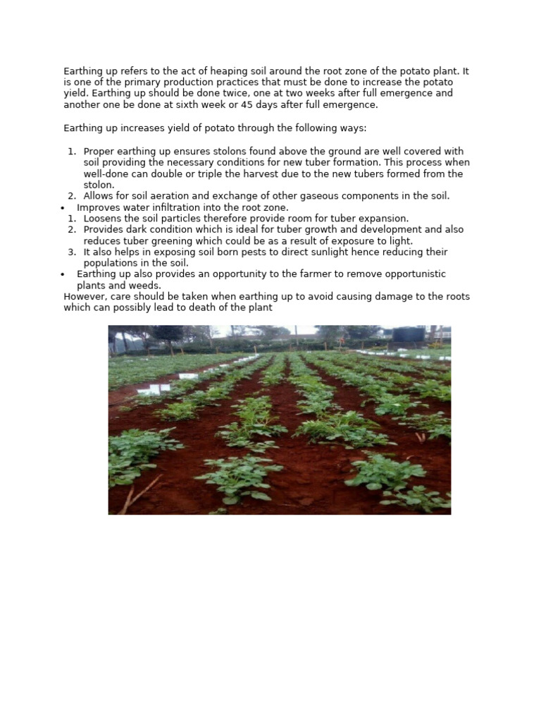 Earthing Up Refers To The Act of Heaping Soil Around The Root Zone of ...