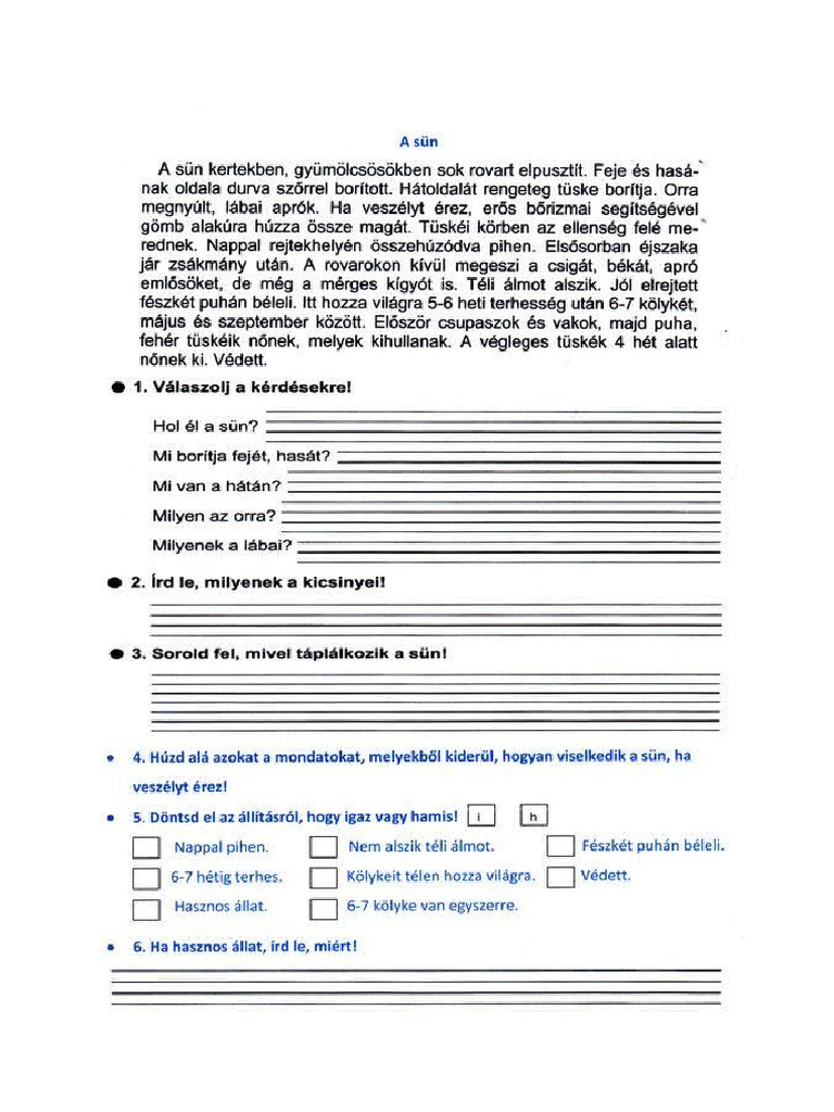 A Sün - Feladatlap | PDF