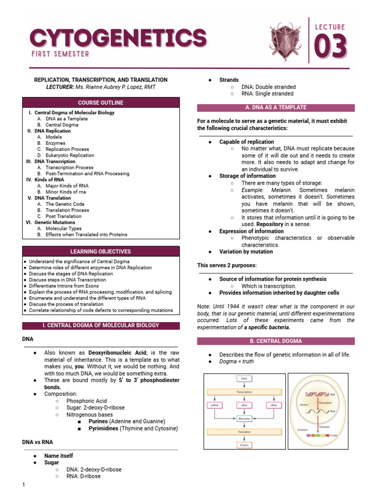 Cyto - Lec 3 - Replication, Transcription, and Translation | PDF | Dna Replication | Rna