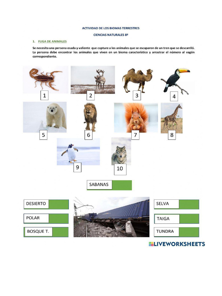 Biomas Terrestres | PDF