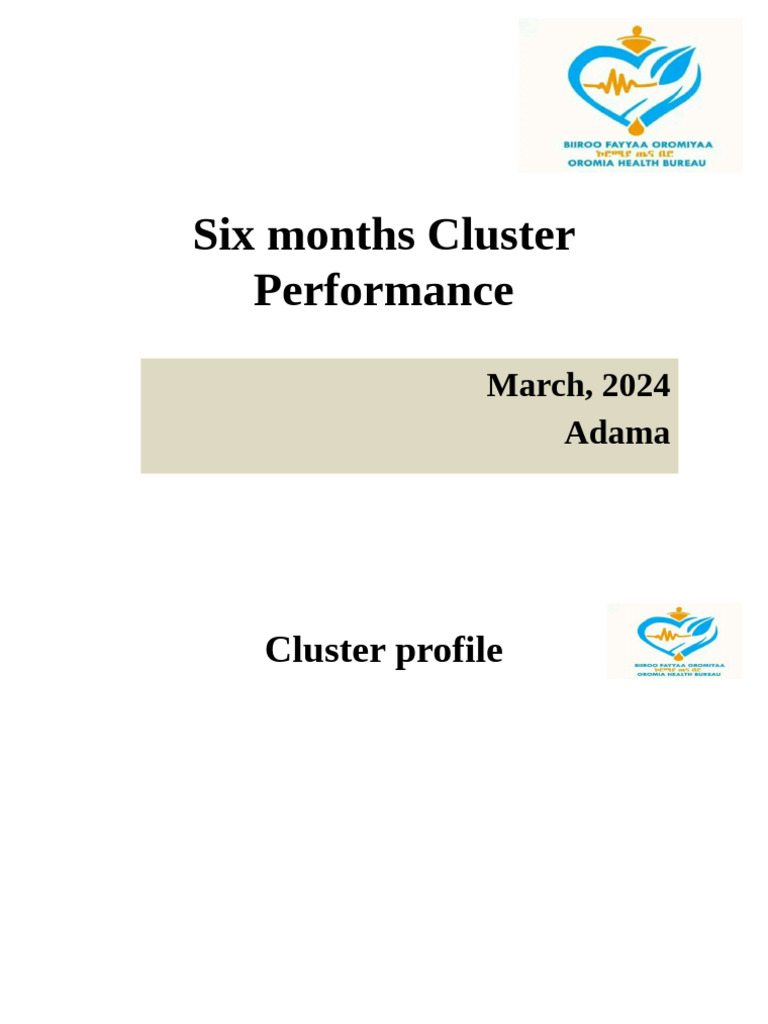 Hospitals - Cluster Performance Report Template 2016 | PDF | Hospital ...