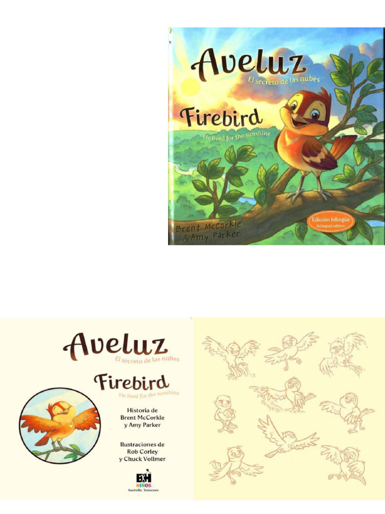 1 Aveluz El Secreto de Las Nubes | PDF