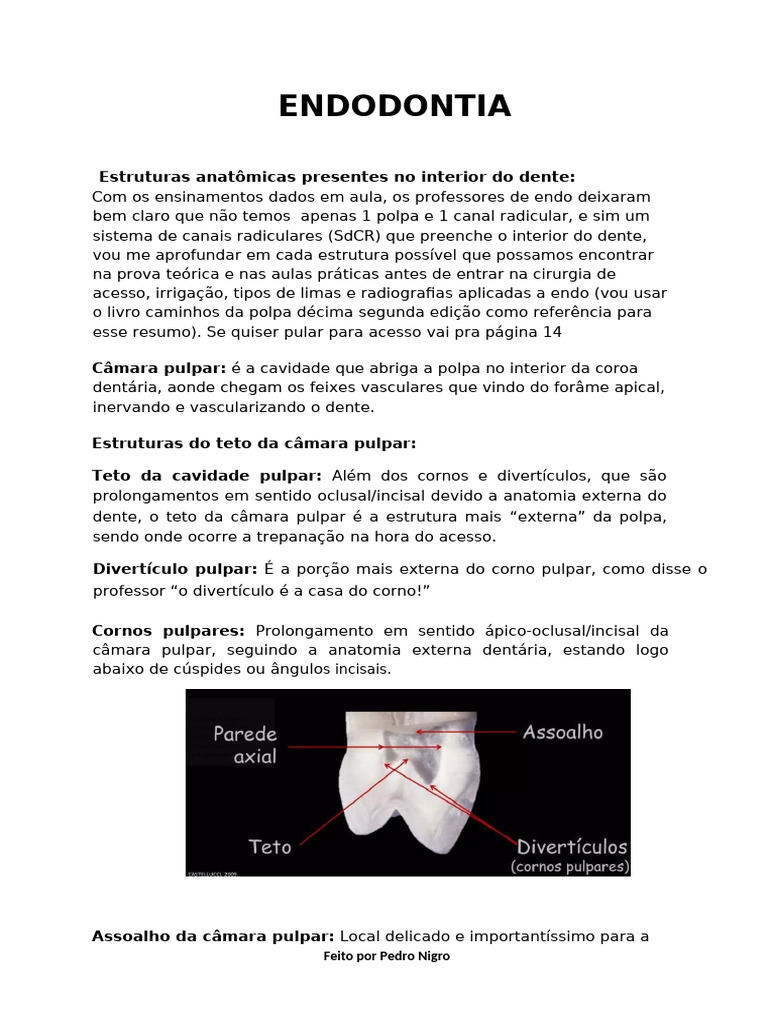 Endo UVA Completo | PDF | Dente humano | Desinfetante
