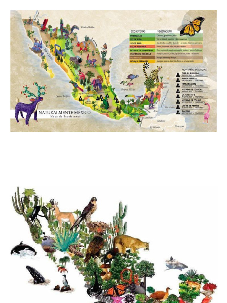 Biodiversidad De Mexico Pdf