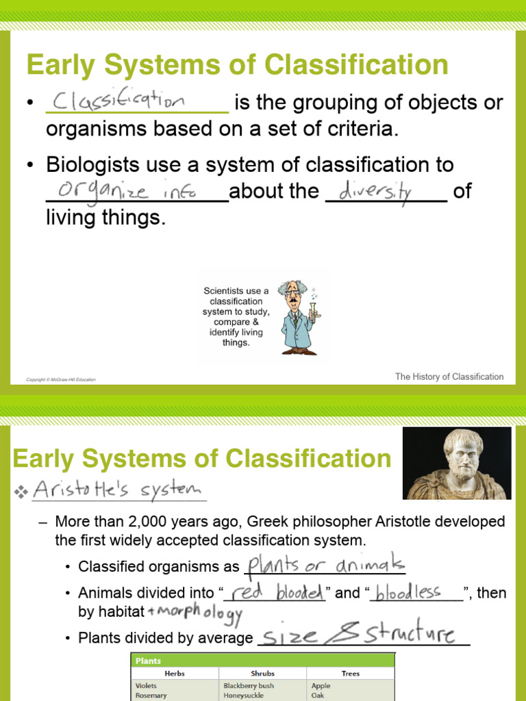 Biolgy Chapter 17 Notes - Organizing Life's Diversity Student Version ...