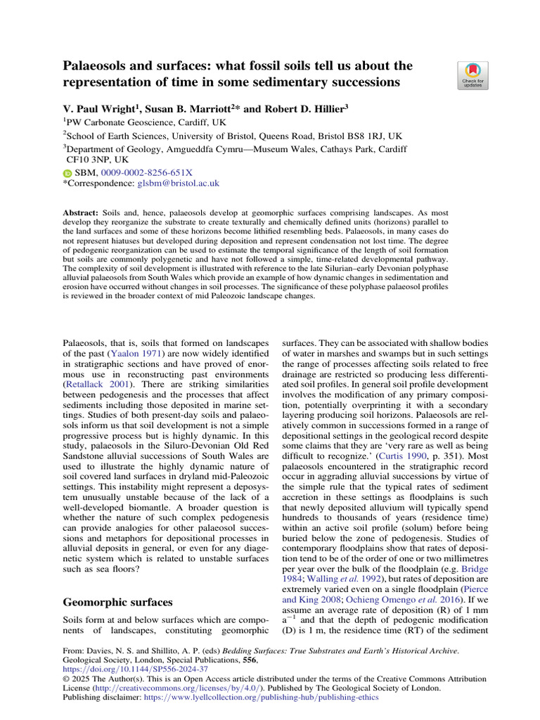 wright-et-al-2025-palaeosols-and-surfaces-what-fossil-soils-tell-us ...