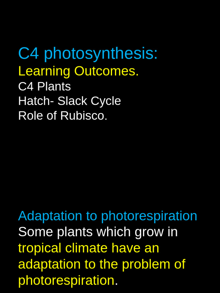 Ch. 4 L N 11 Photorespiration J C4 Photosynthesis | PDF