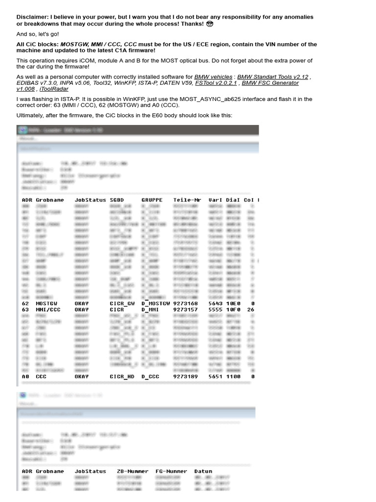 BMW CIC FSC Activation | PDF | System Software | Computer Architecture