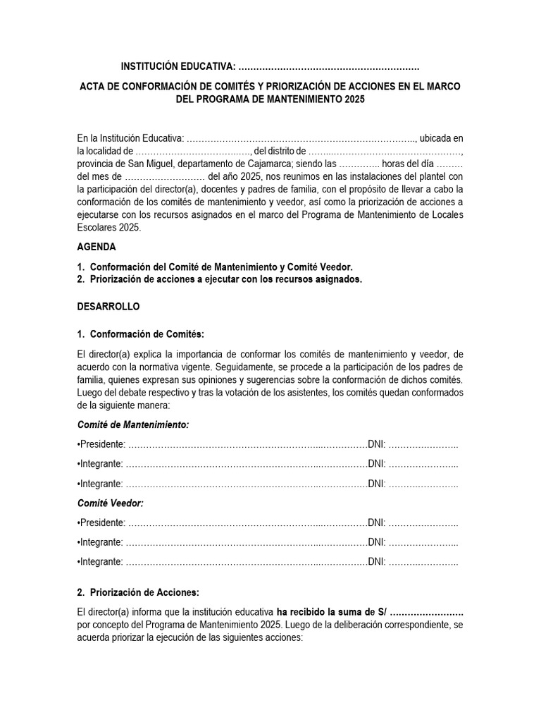 Priorización de Acciones de Mantenimiento 2025 | PDF