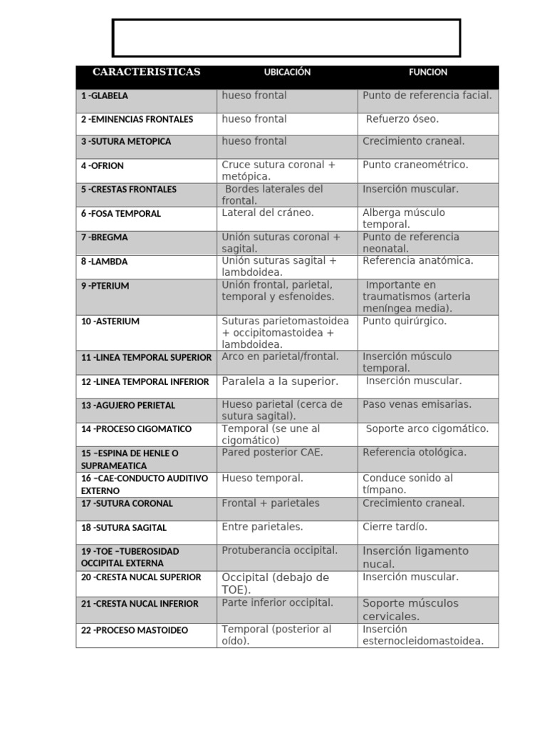 Caracter I Sticas | PDF | Cráneo | Sistema musculoesquelético
