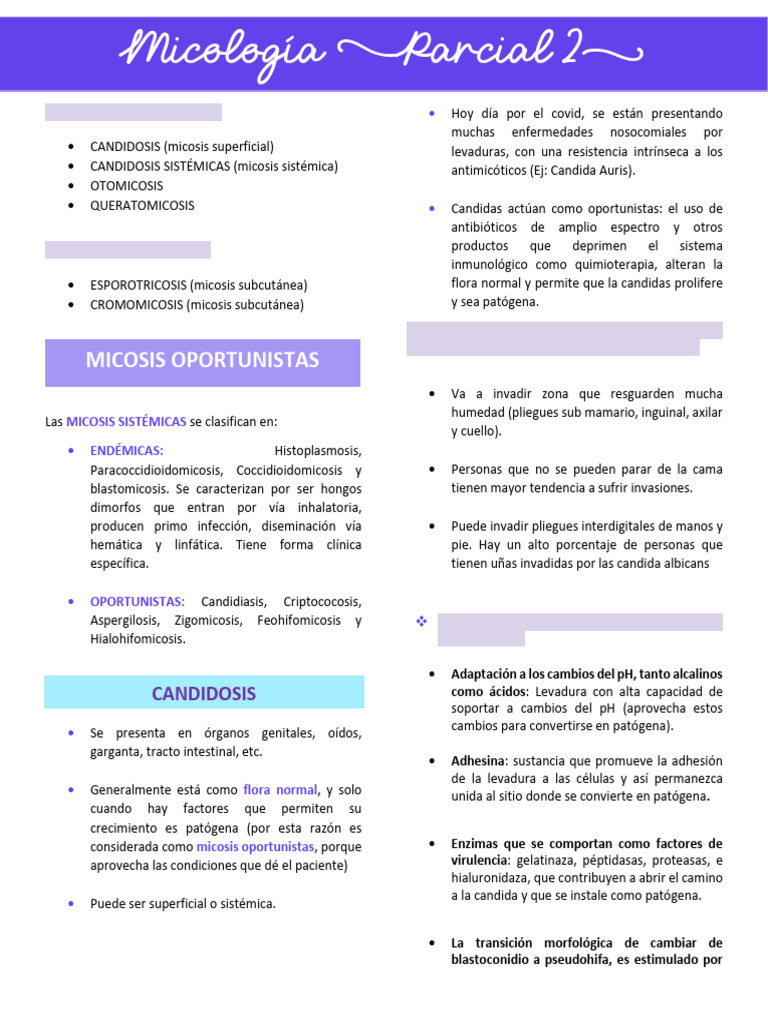 Micosis Oportunistas Candidiasis, Otomicosis y Queratomicosis | PDF ...
