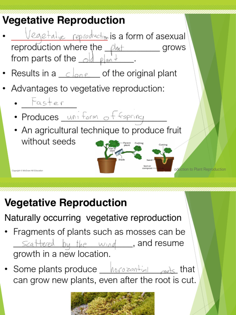 Bio Ch. 10, 23 Sexual Reproduction & Genetics Notes (Student) | PDF ...