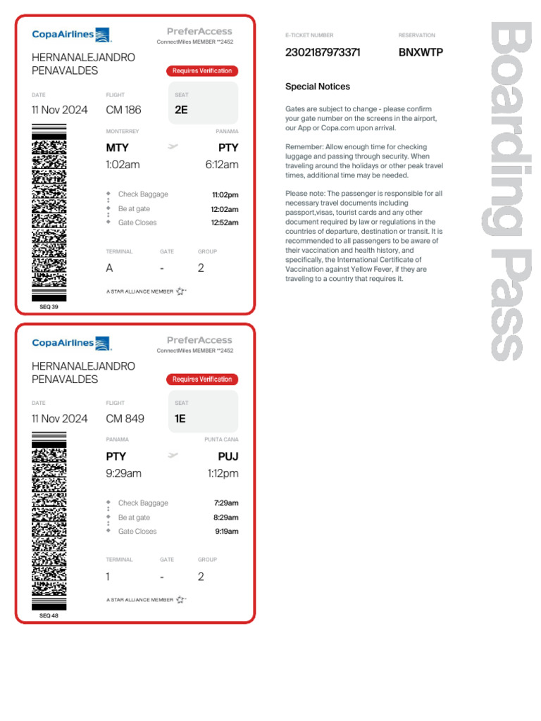boardingPass | PDF | Baggage