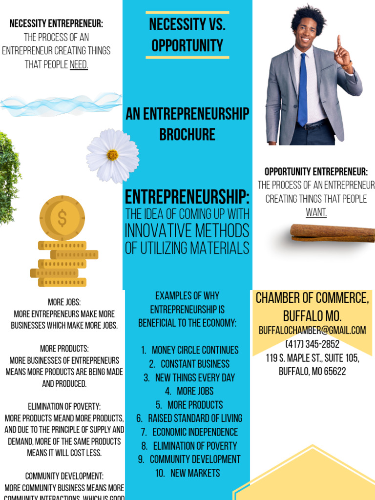 Entrepreneurship Brochure | PDF | Entrepreneurship | Business