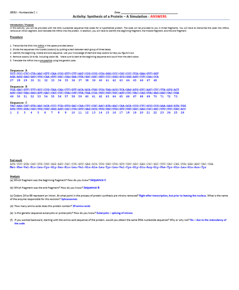 Polypeptide an Sers | PDF | Genetic Code | Translation (Biology)
