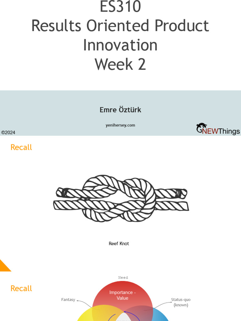 ES310 LN2 DisruptiveInnovation-W2 2025 Spring | PDF | Innovation | Startup Company