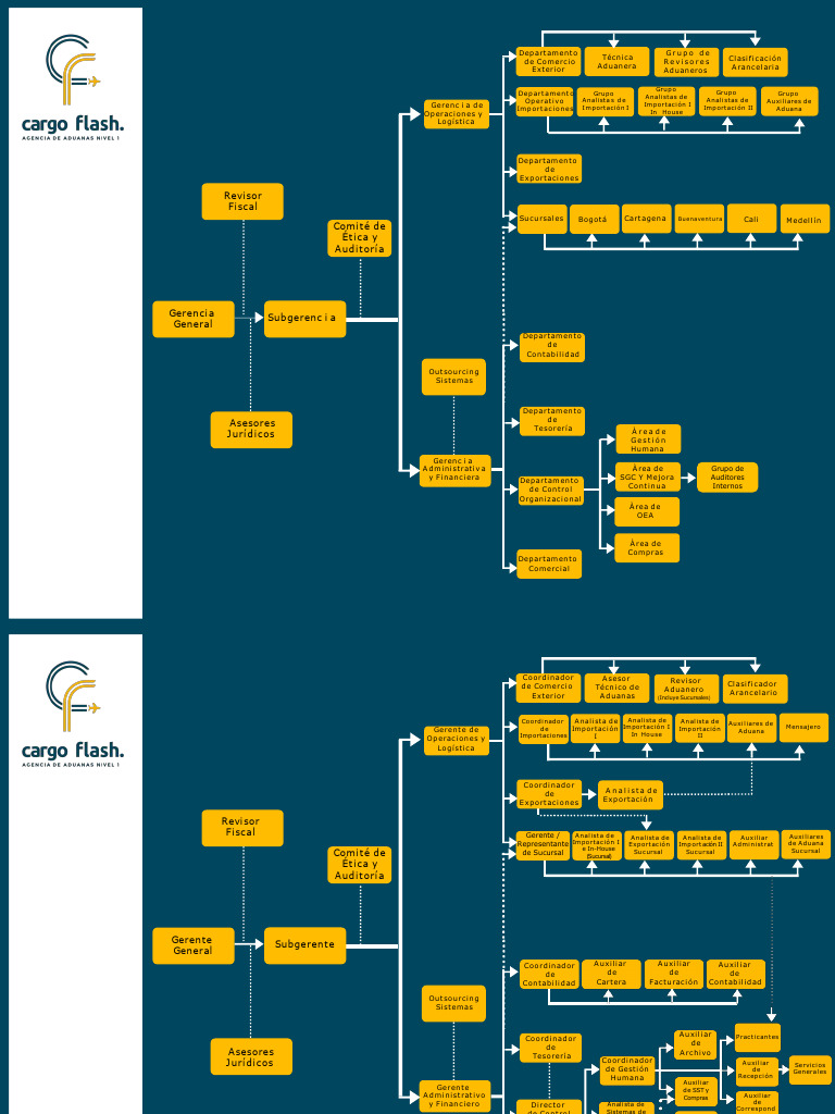 Organigrama Cargo Flash 2020 | PDF