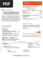 Sample PSEG Bill | PDF