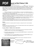 Osmosis Red Onion Cells | PDF | Osmosis | Biology