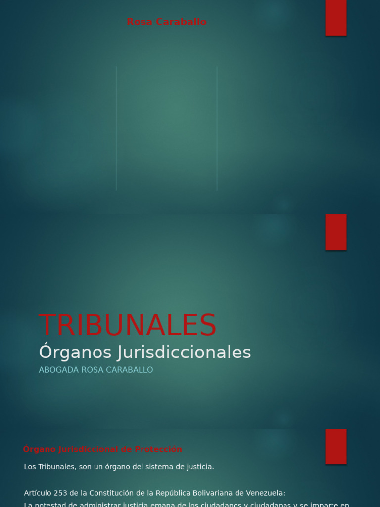 Presentación Rosa Caraballo | PDF | Judicaturas | Divorcio