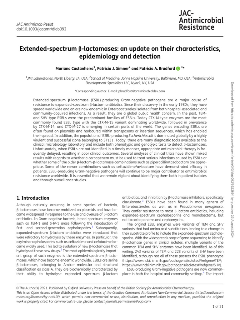 Dlab 092 | PDF | Beta Lactamase | Antibiotics