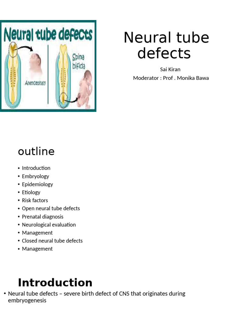 Neural Tube Defects Sai Kiran | PDF | Nervous System | Diseases And ...