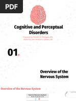 Neuro Observation Sheet | PDF | Pain | Neurology