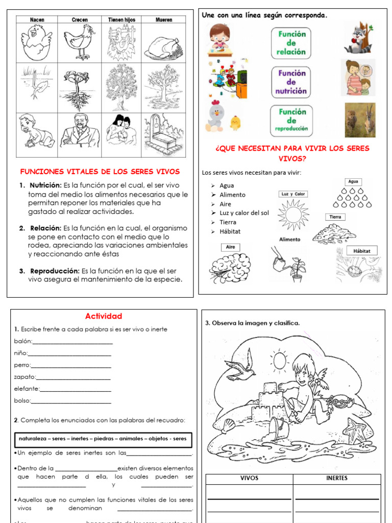 Funciones Vitales de los Seres Vivos | PDF