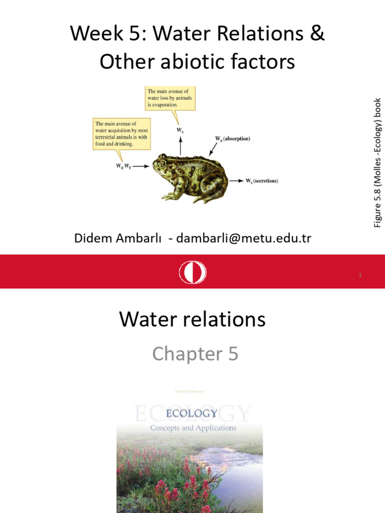 Water Relations in Ecology 250 | PDF | Water | Ecology