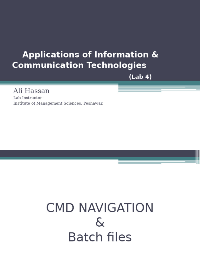 4 Lab 4 | PDF | Computer File | Command Line Interface