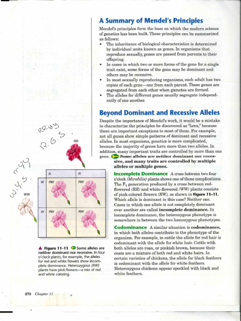 Desc Disc Lab Text Pages | PDF