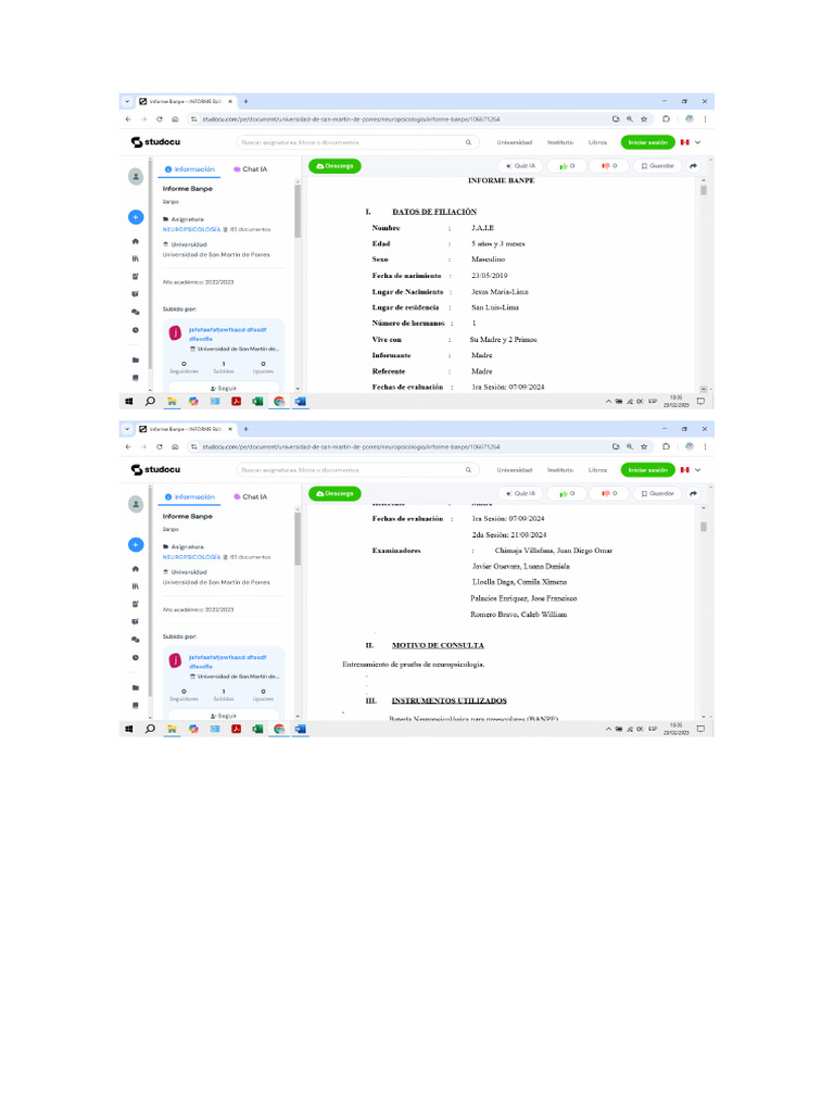 Ejemplo de Informe | PDF
