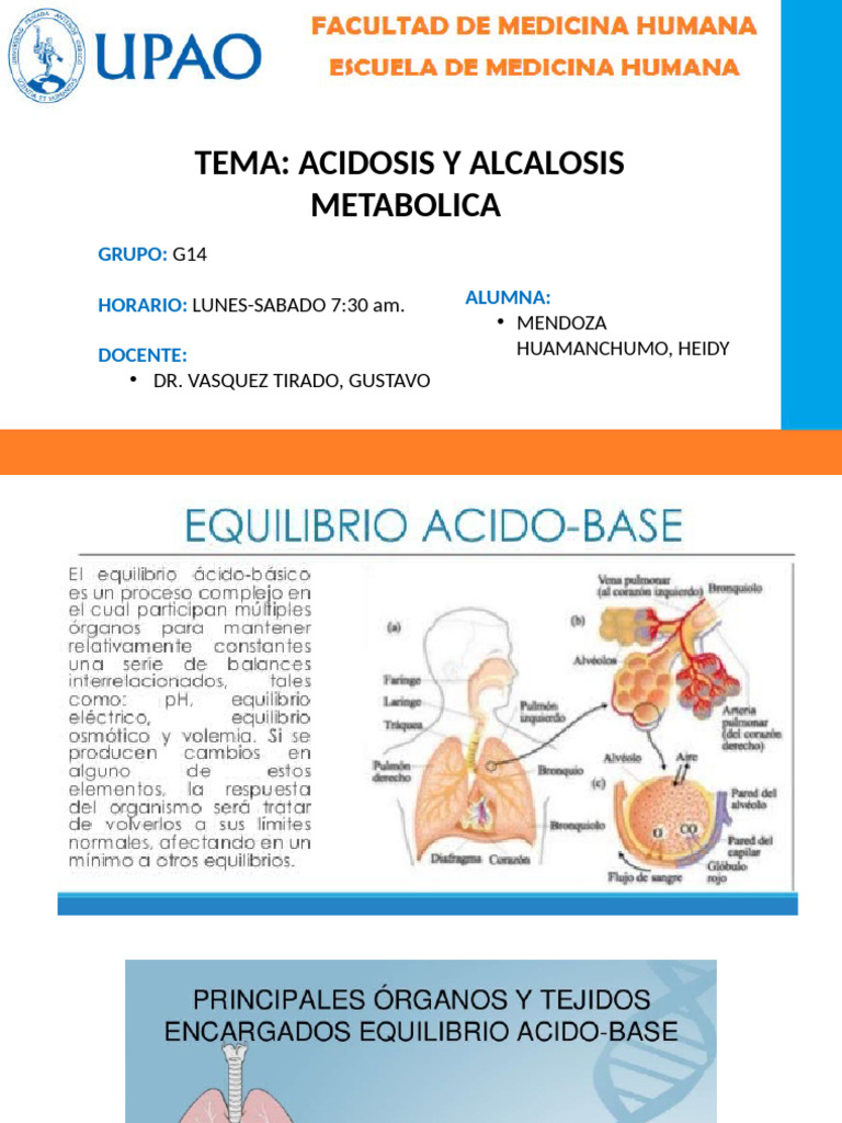 Acidosis y Alcalosis Metabolica | PDF | Solución tampón | Fisiología