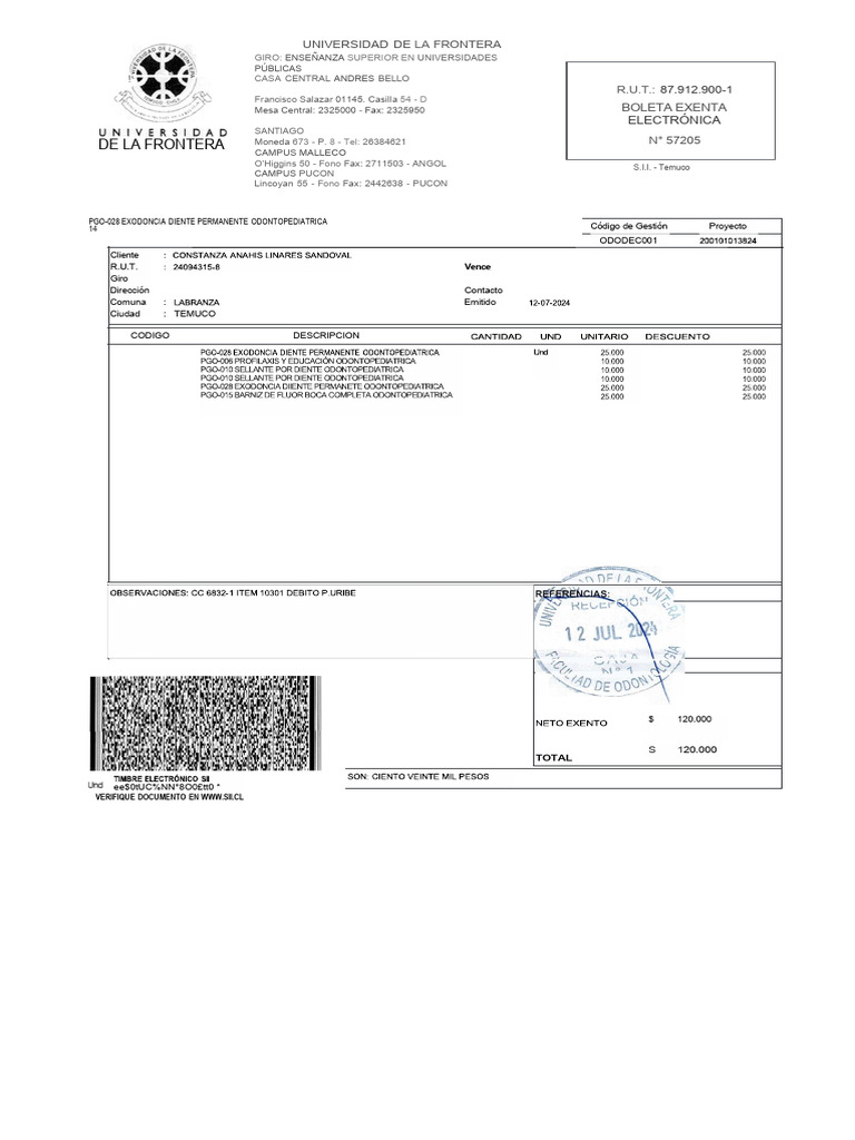 Boleta Tratamiento Dental Constanza ODONTOPEDIATRA | PDF