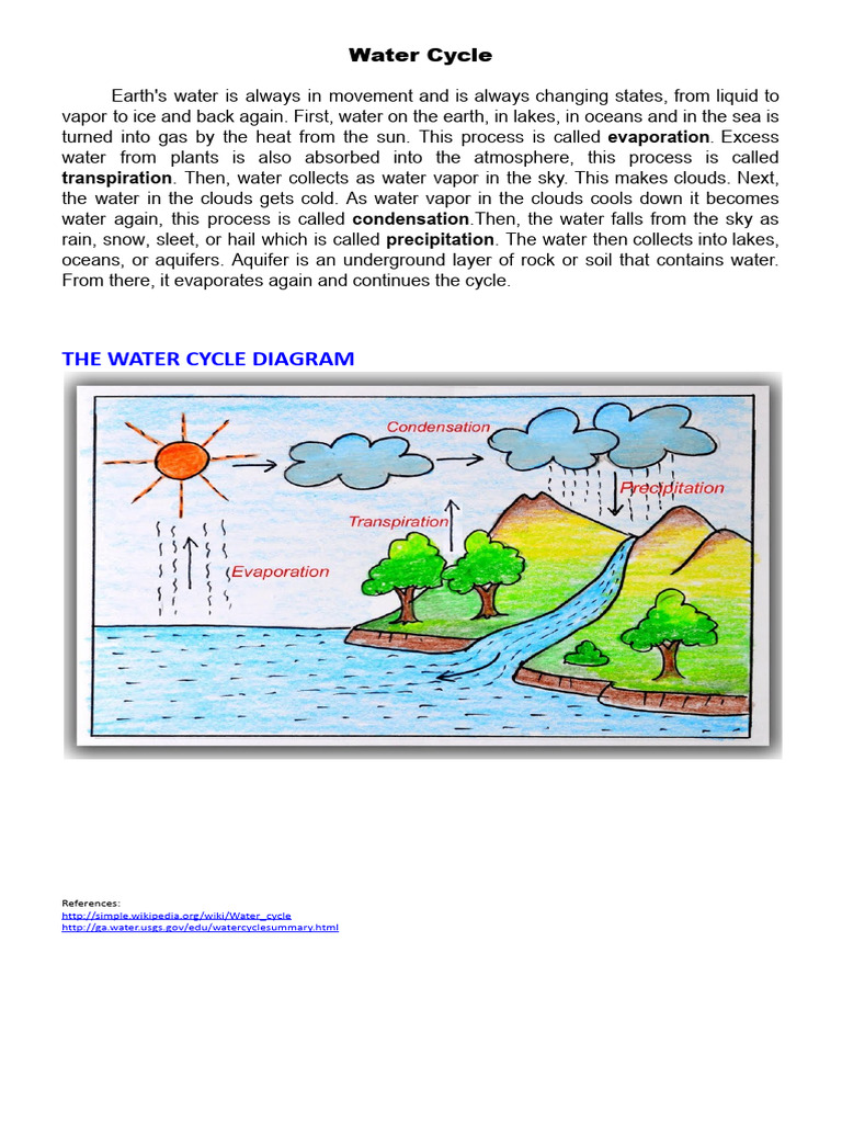 Water Cycle Notes | PDF