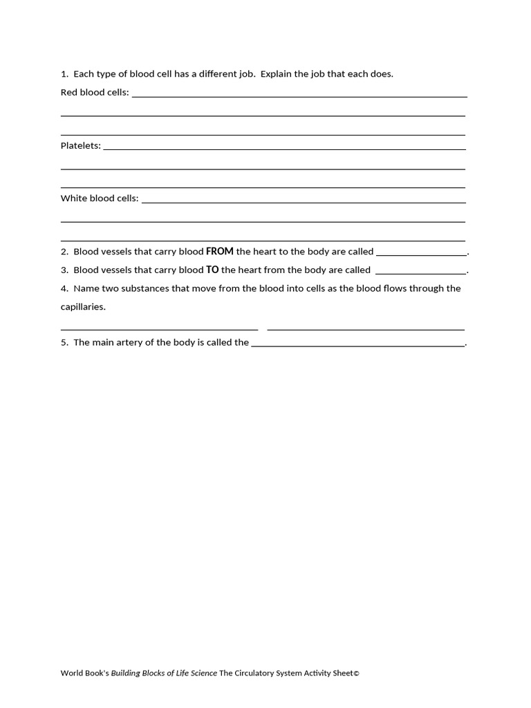 Circulatory Activity Sheet | PDF