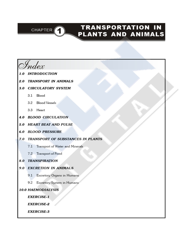 Plant and Animal Transportation Systems | PDF | Atrium (Heart) | Vein