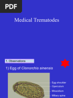 Trematode Eggs | PDF