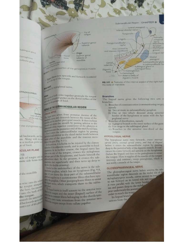 PDFGallery_20250403_230317 | PDF