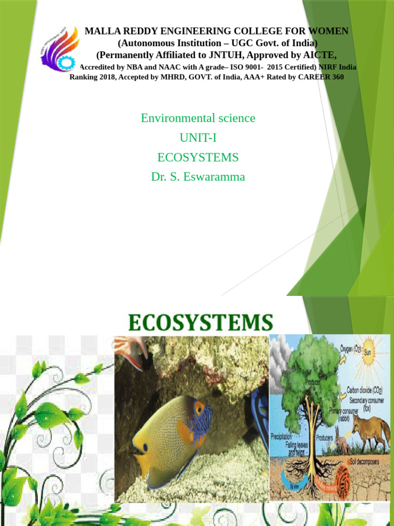 Balanus and Chthamalus Competition Insights | PDF | Ecosystem | Ecology