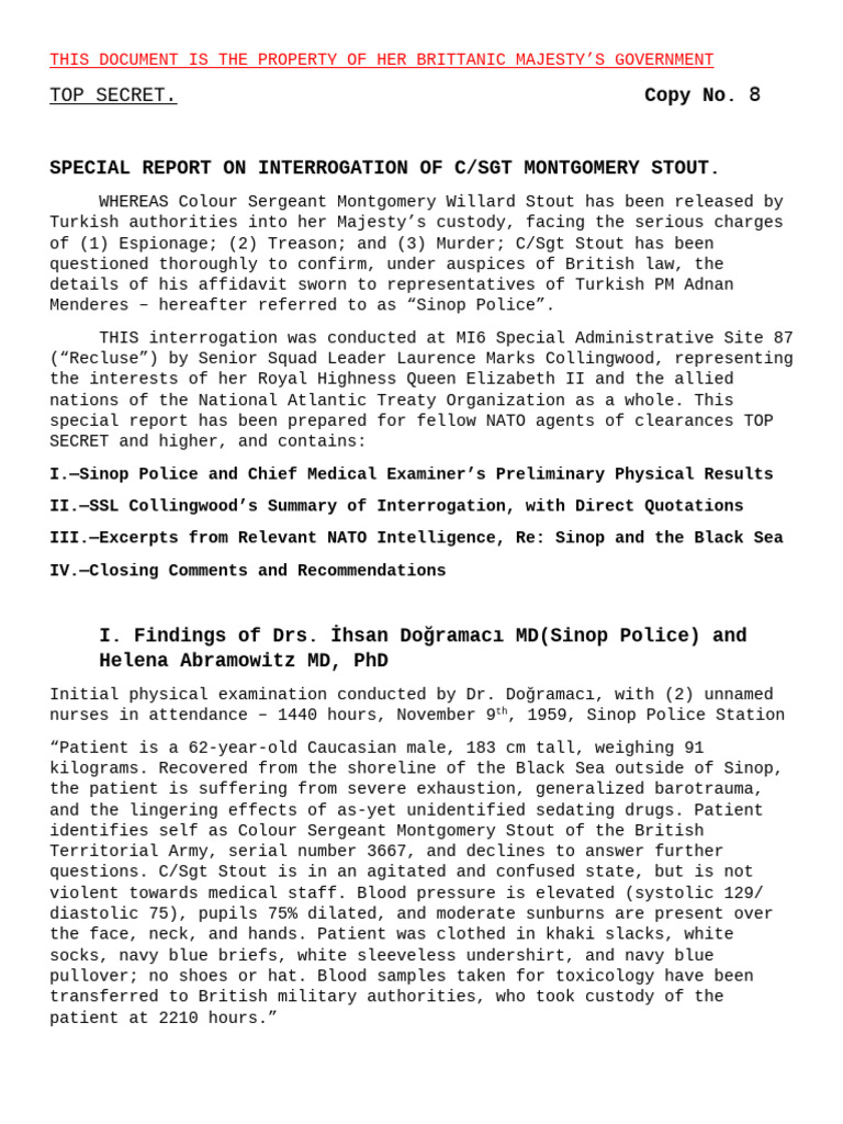NATOreport | PDF