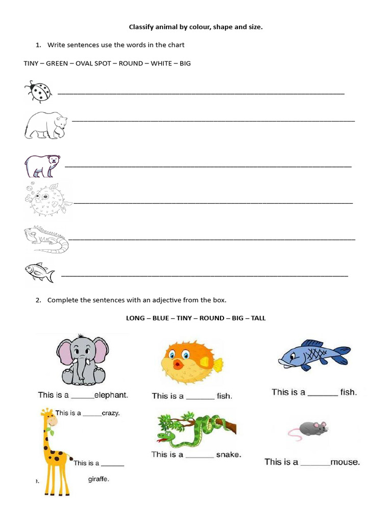 Classify Animal by Colour | PDF